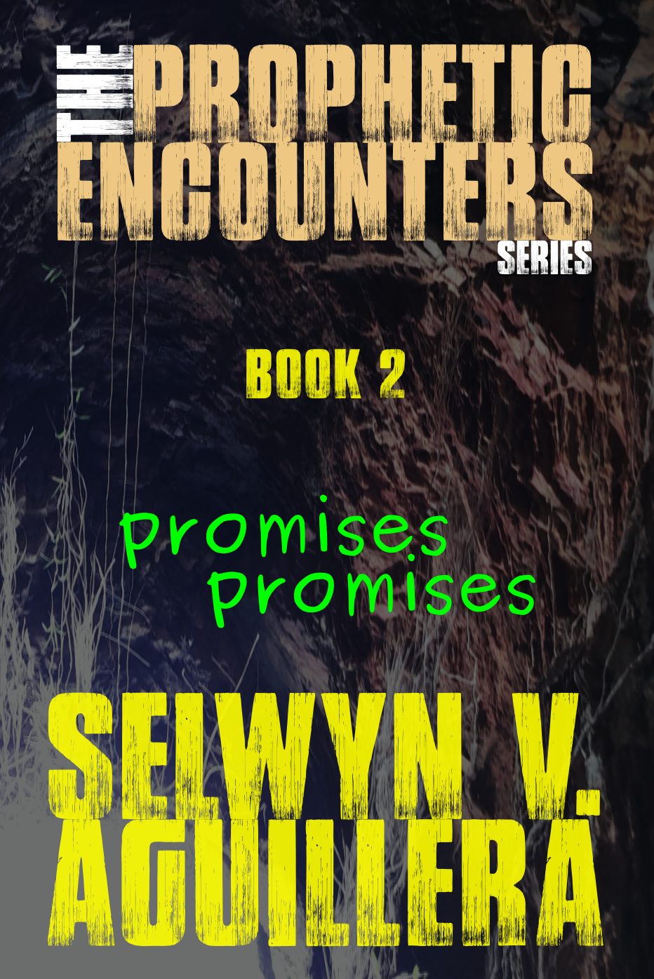 Promises Promises Available Now! – Selwyn V. Aguillera